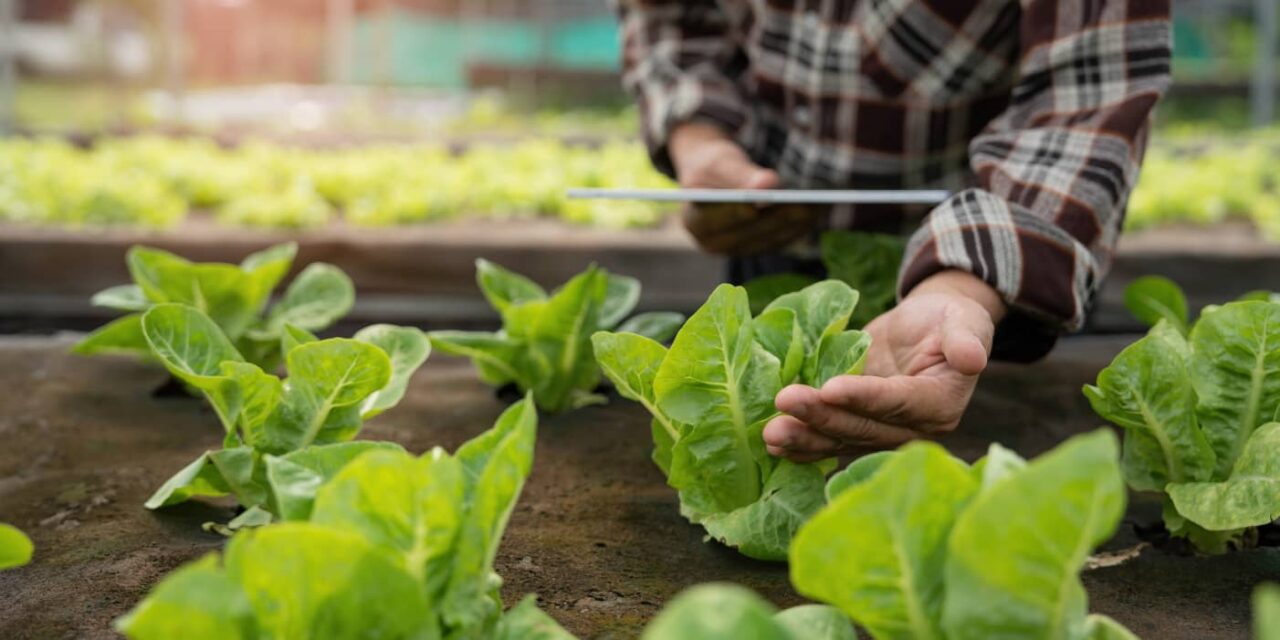 10 Examples Of Modern Technology In Food Production