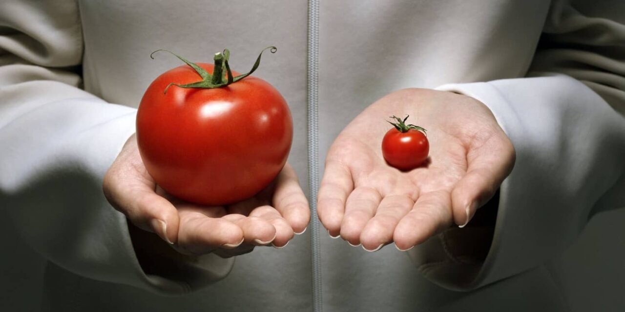 How GMOs Are Revolutionizing The Food Production Industry